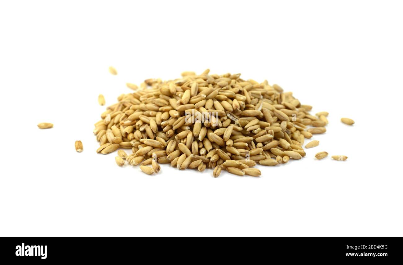 Rye grains isolated on white background Stock Photo - Alamy