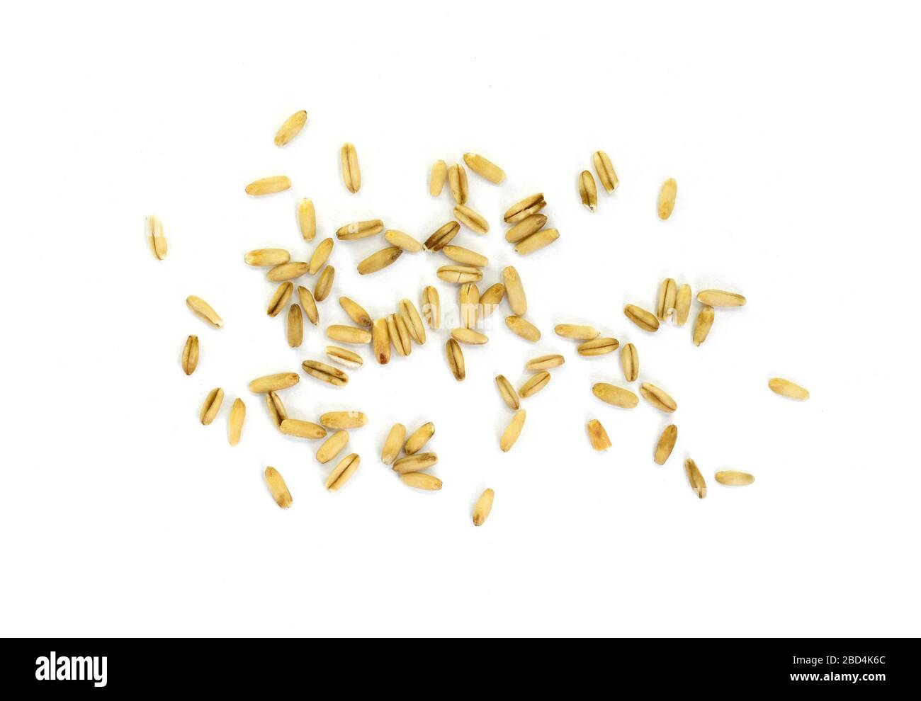 Rye grains isolated on white background Stock Photo - Alamy