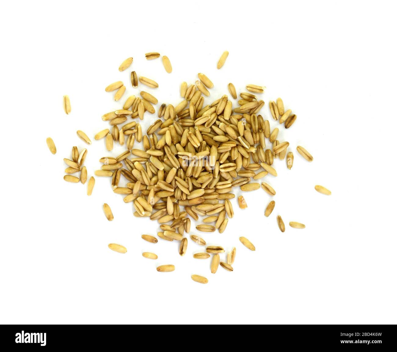 Rye grains isolated on white background Stock Photo - Alamy