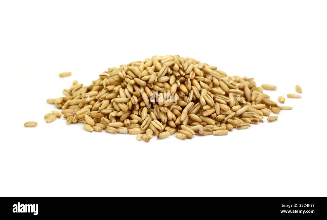 Rye grains isolated on white background Stock Photo - Alamy