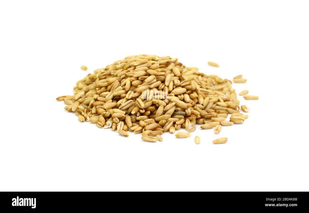 Rye grains isolated on white background Stock Photo - Alamy