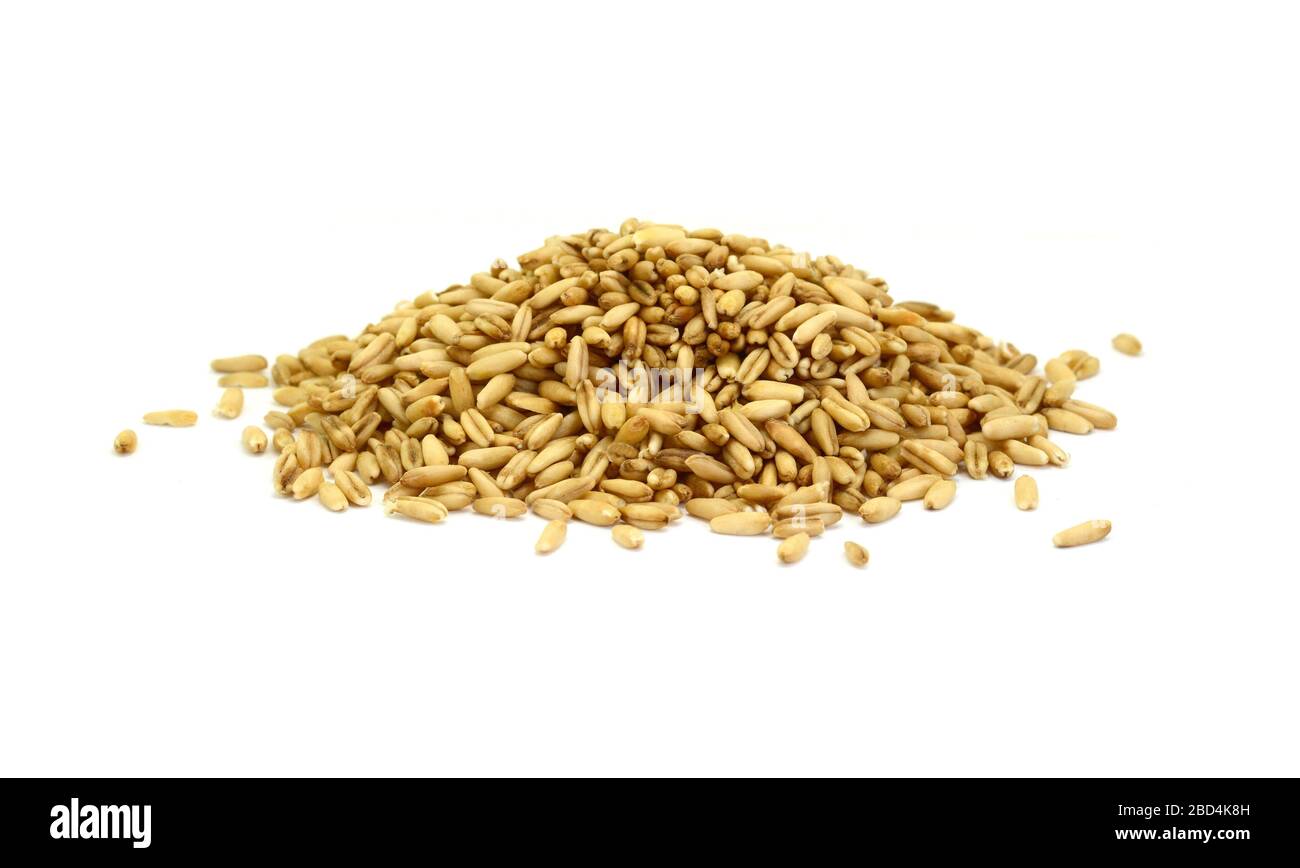 Rye grains isolated on white background Stock Photo - Alamy