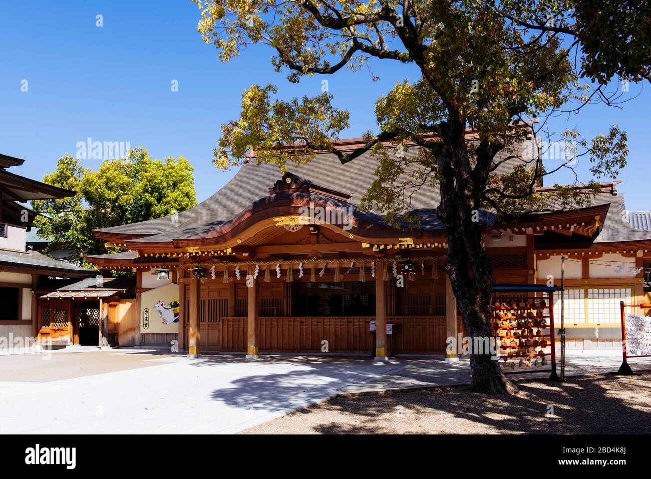 Japanese prayer tree hi-res stock photography and images - Alamy