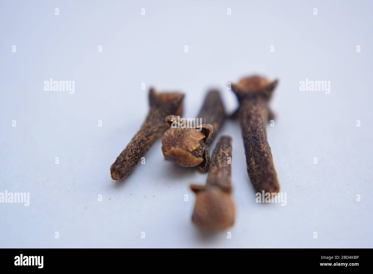 dry spice cloves isolated on white background Full depth of field Close ...
