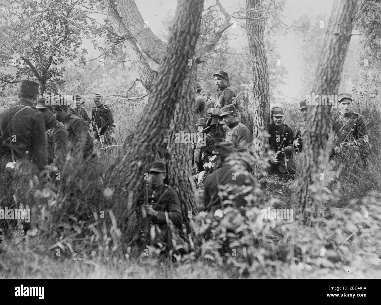 French soldiers scouting in the woods at the beginning of World War I ...