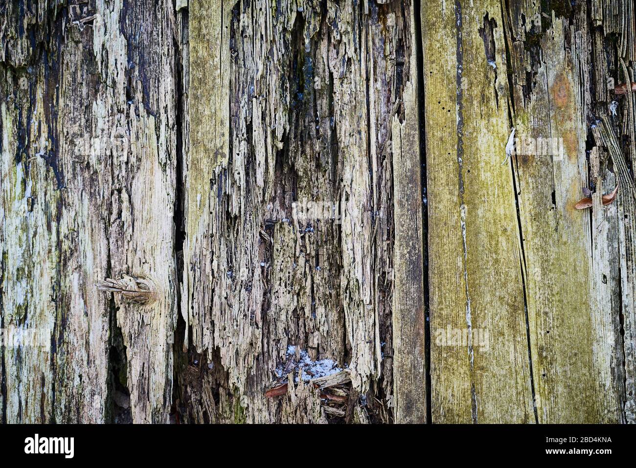 Rotten interior hi-res stock photography and images - Alamy