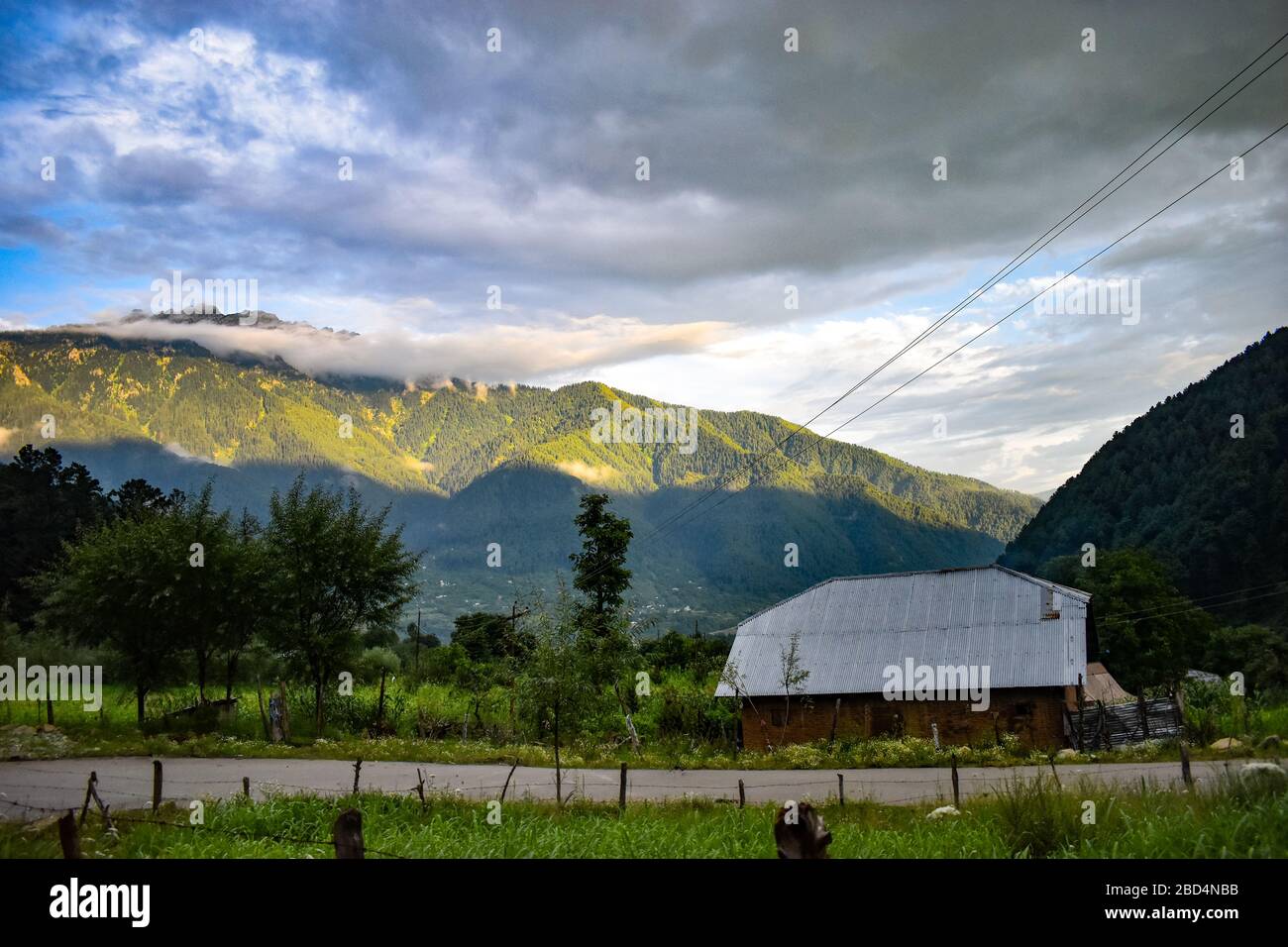 Beautiful view of Paddy fields with beautiful blue sky at Pahalgam ...