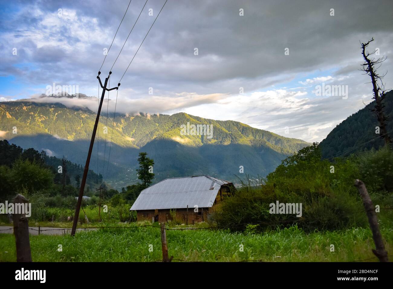 Beautiful view of Paddy fields with beautiful blue sky at Pahalgam ...