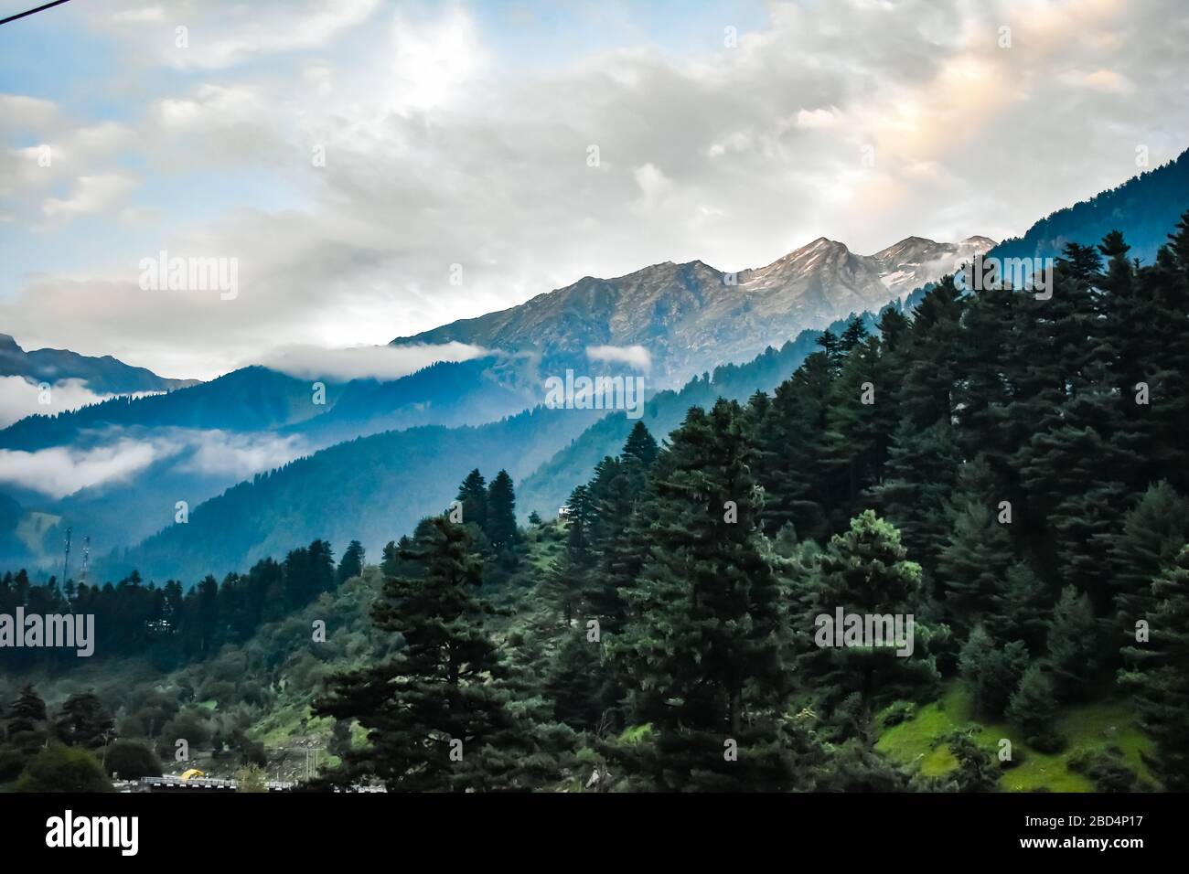 Beautiful view of clouded sky with lush green pine and walnut trees at ...