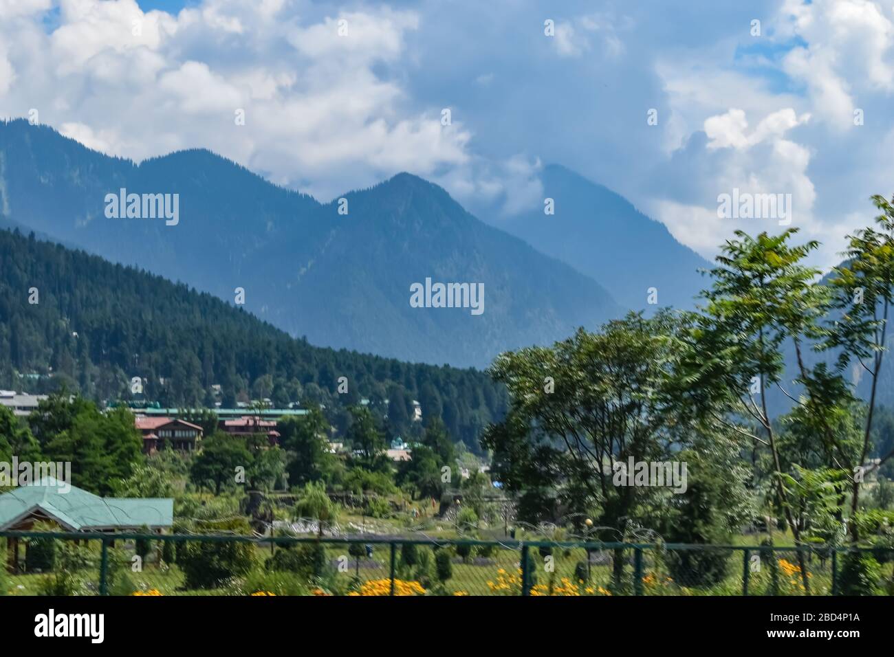 Beautiful view of clouded sky with lush green pine and walnut trees at ...