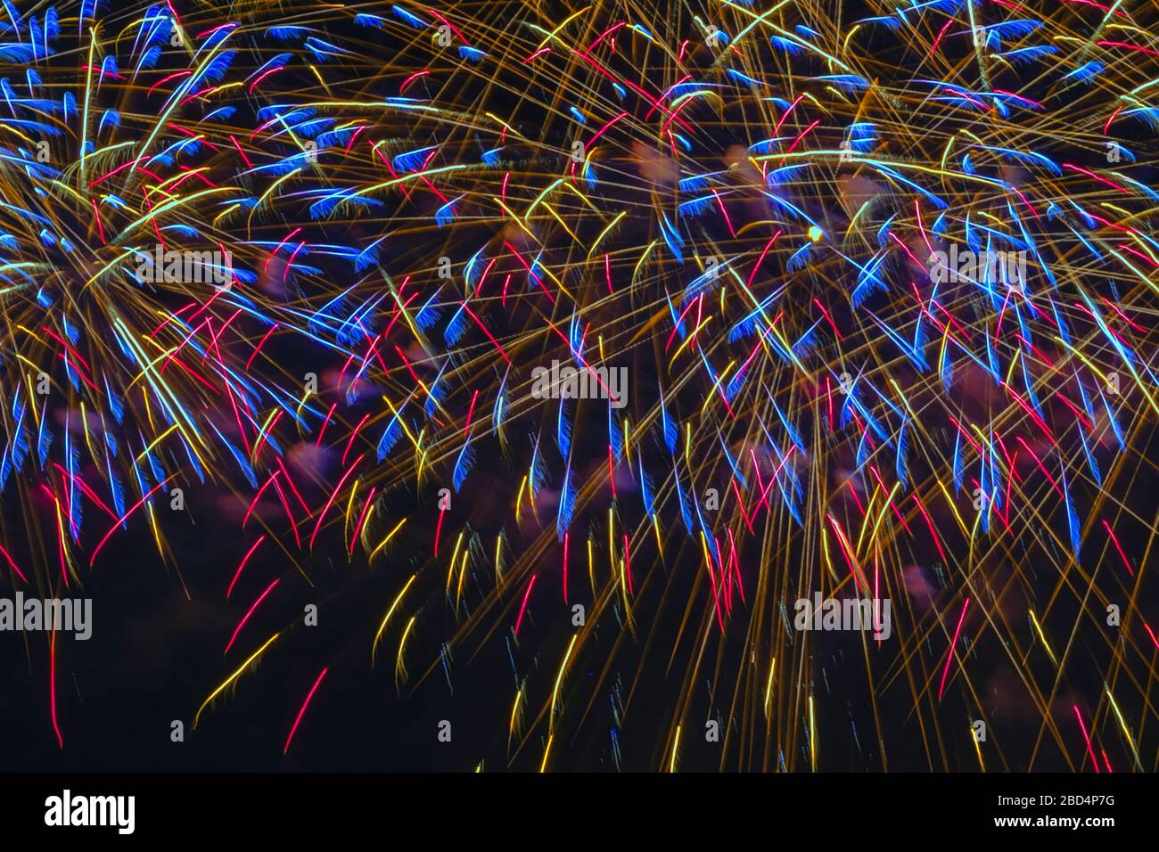 Bright colorful firework as huge exotic feathers, multicolored glowing ...