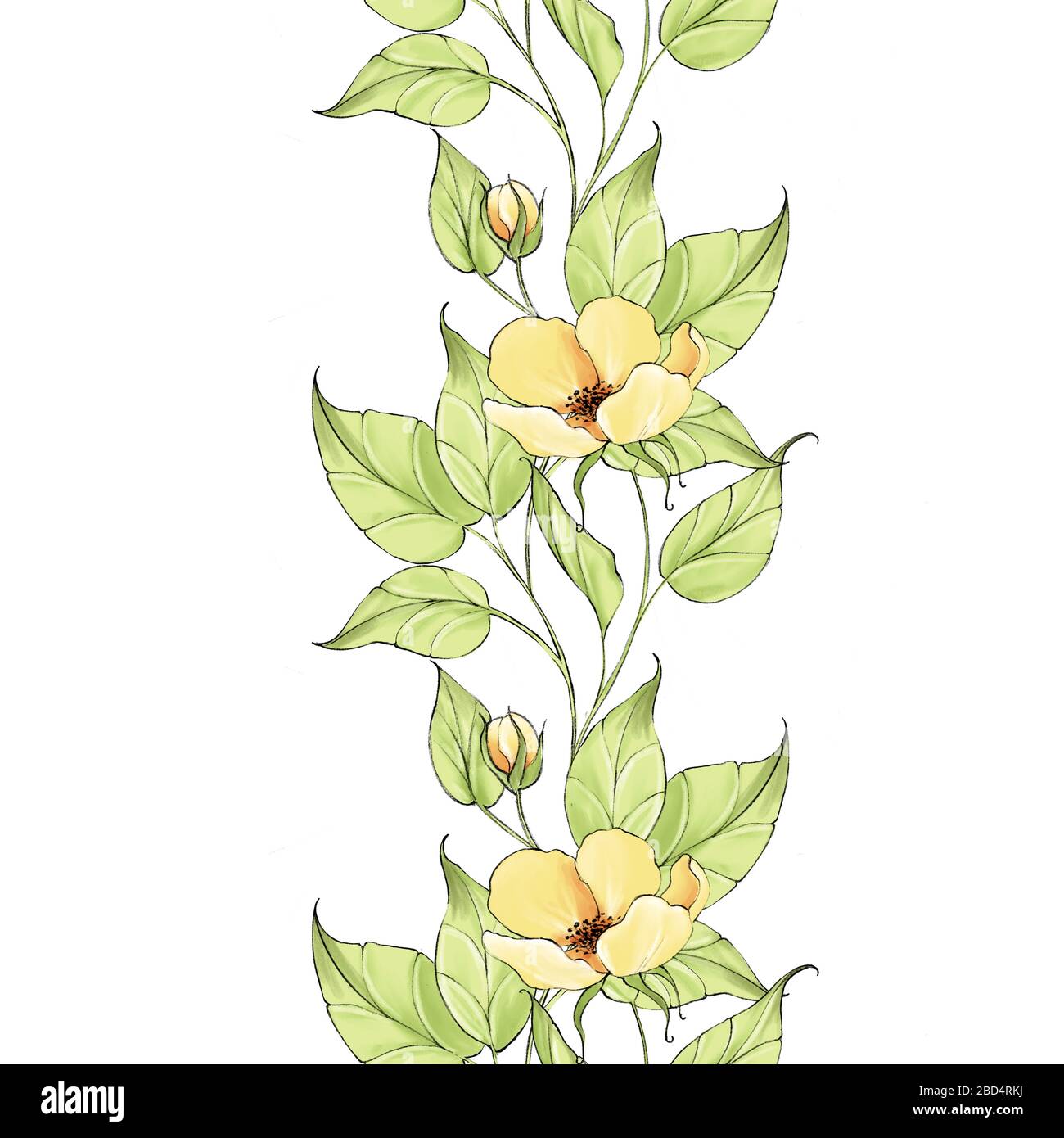 Floral border Cut Out Stock Images & Pictures - Alamy