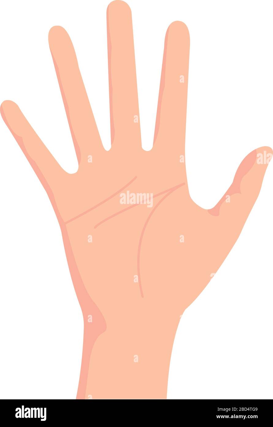 Female hand gesture (hand sign) vector illustration / open hand Stock ...