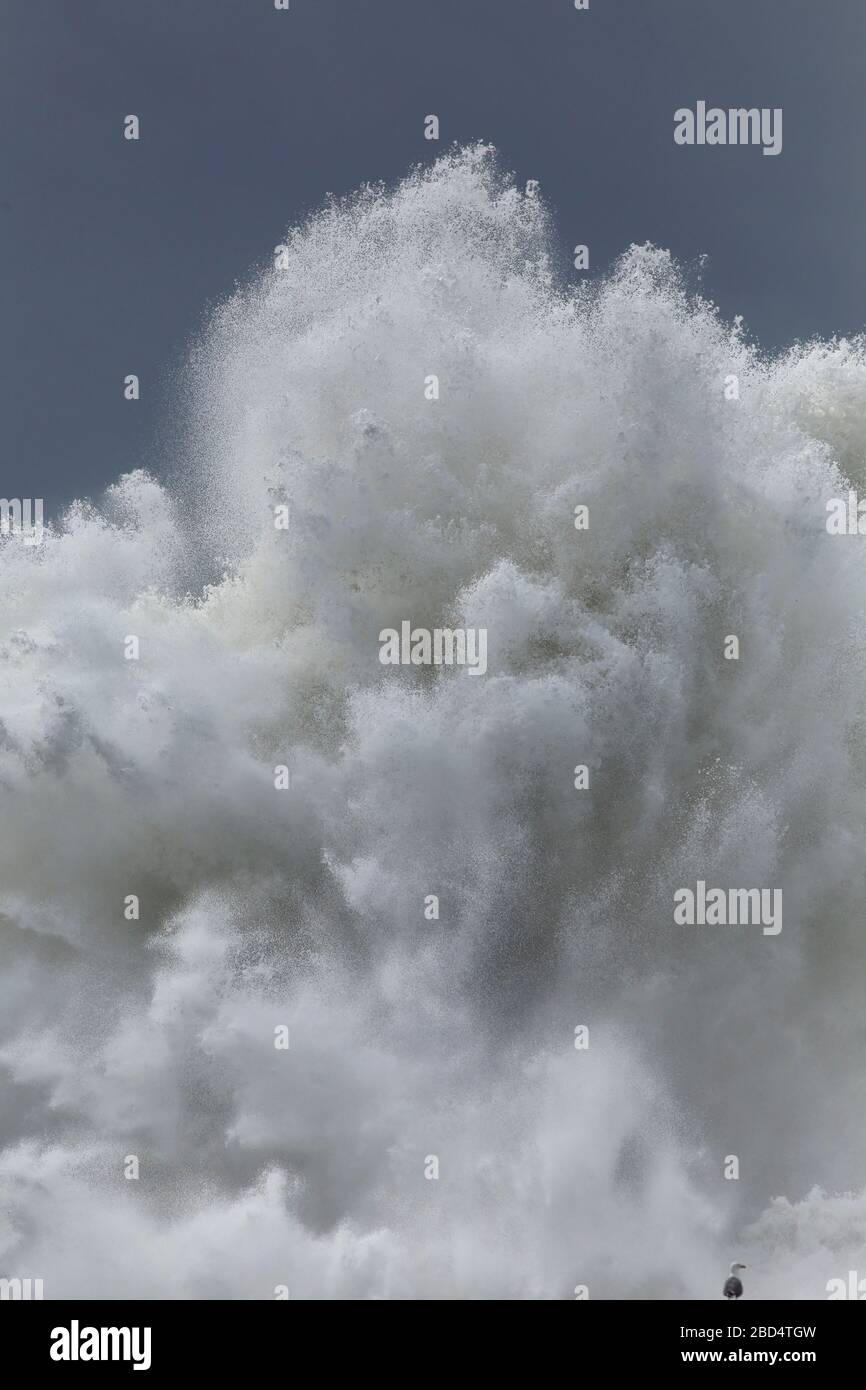Huge detailed stormy wave splash Stock Photo - Alamy