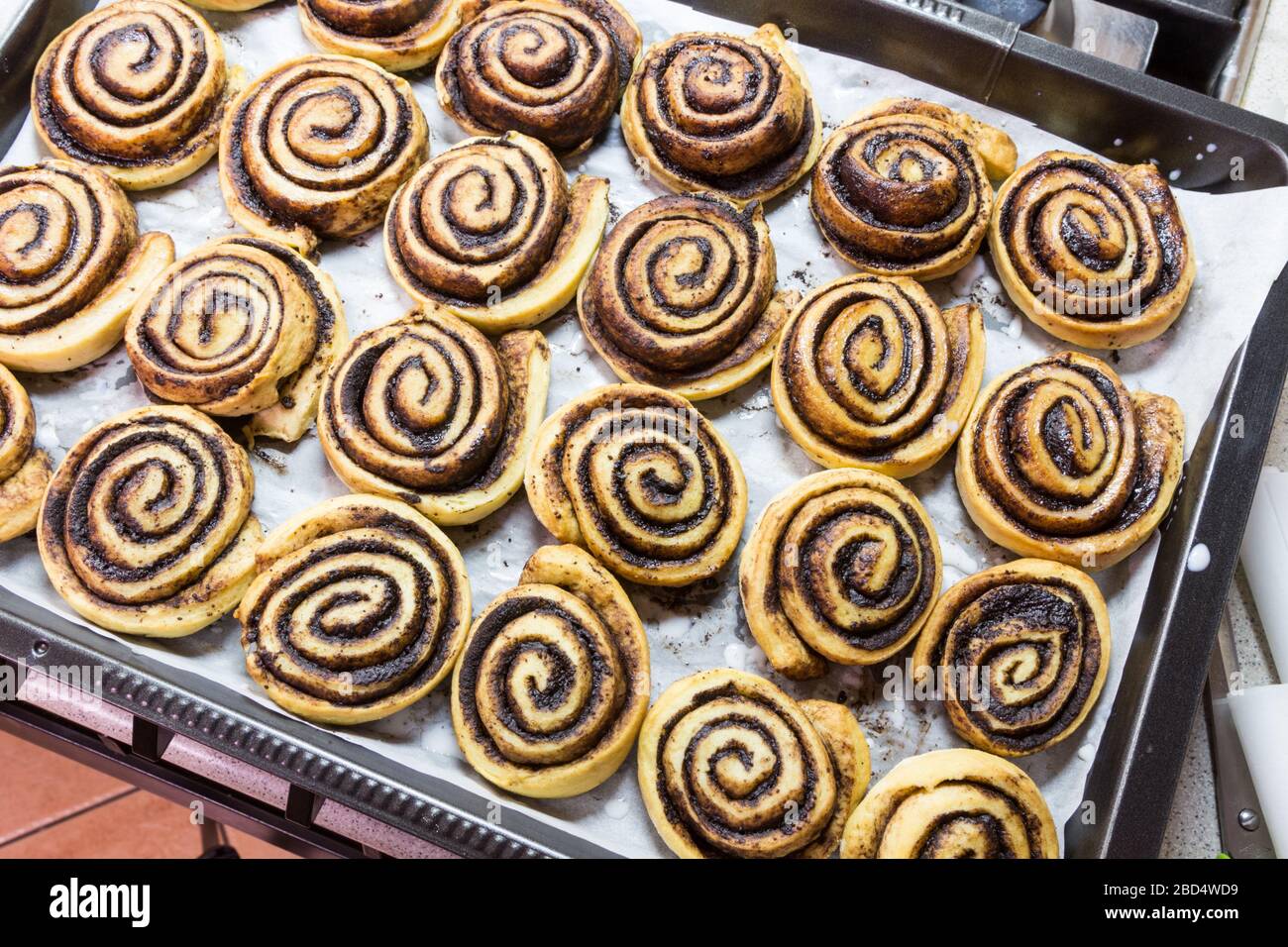 Baking kakaos csiga (cocoa swirls or snail), traditional Hungarian ...