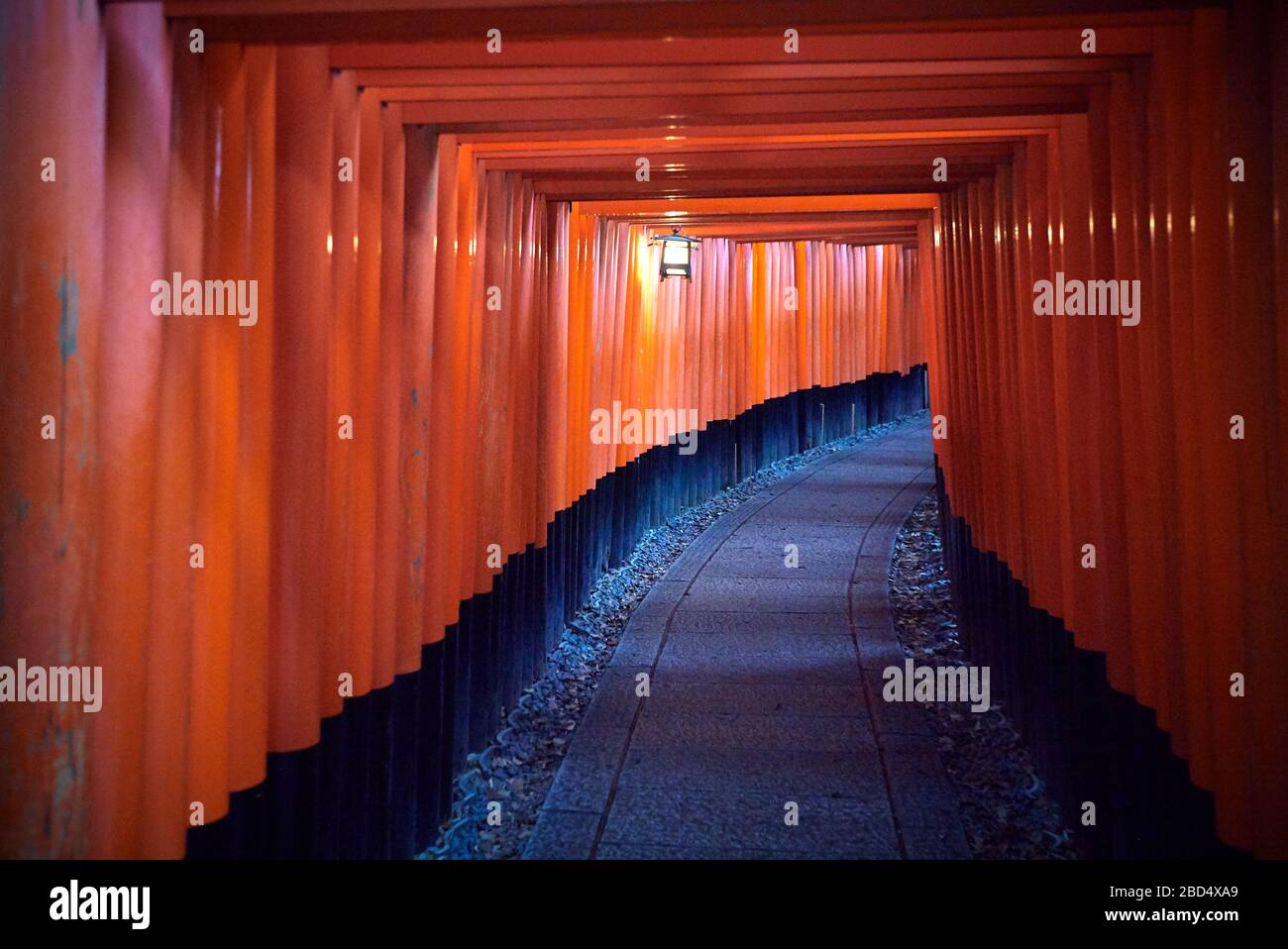 Fushimi Inari Shrine in Kyoto Stock Photo - Alamy