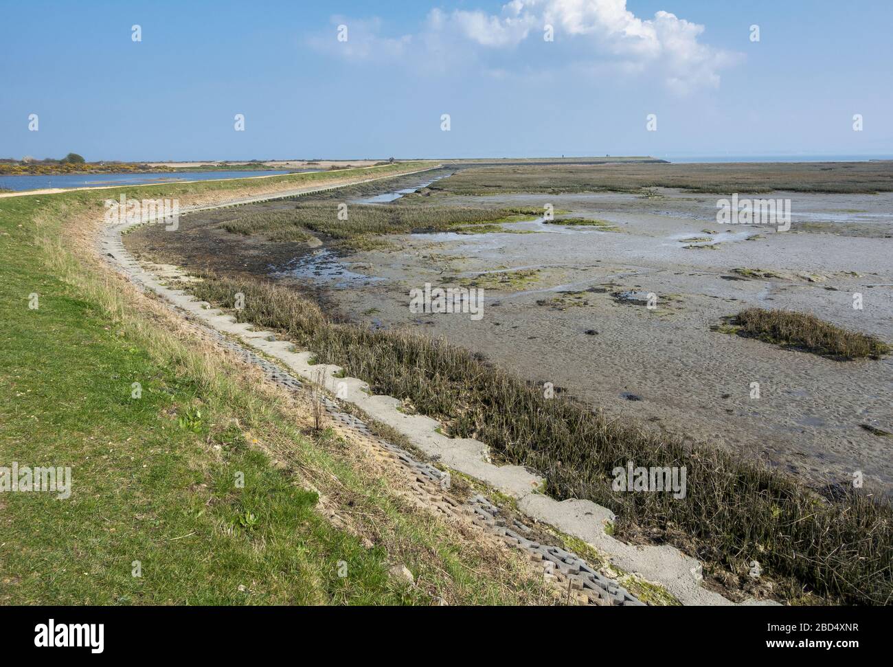 View across Lymington and Keyhaven Marshes Nature Reserve showing the ...
