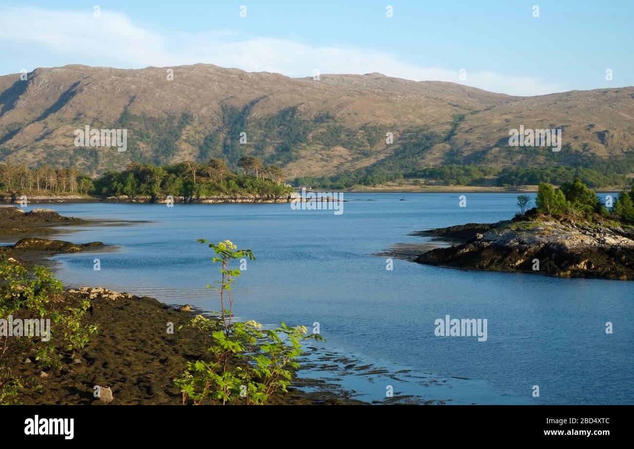 Islands on Loch Sunart, Scotland Stock Photo - Alamy