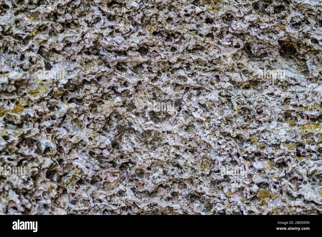 multi-colored limestone covered with moss and lichen Stock Photo - Alamy