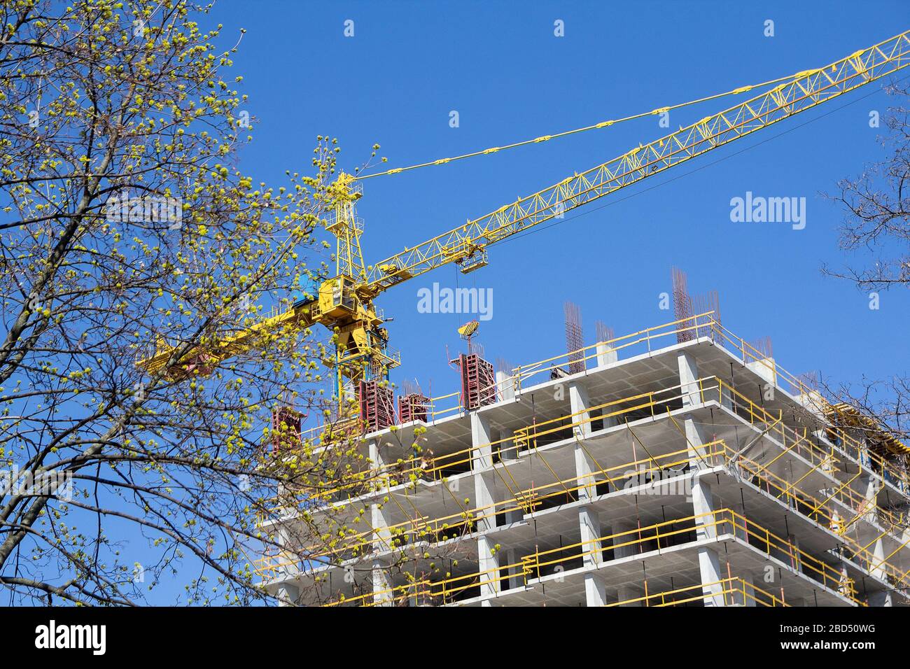 Construction crane, building and flowering tree. Construction Stock ...