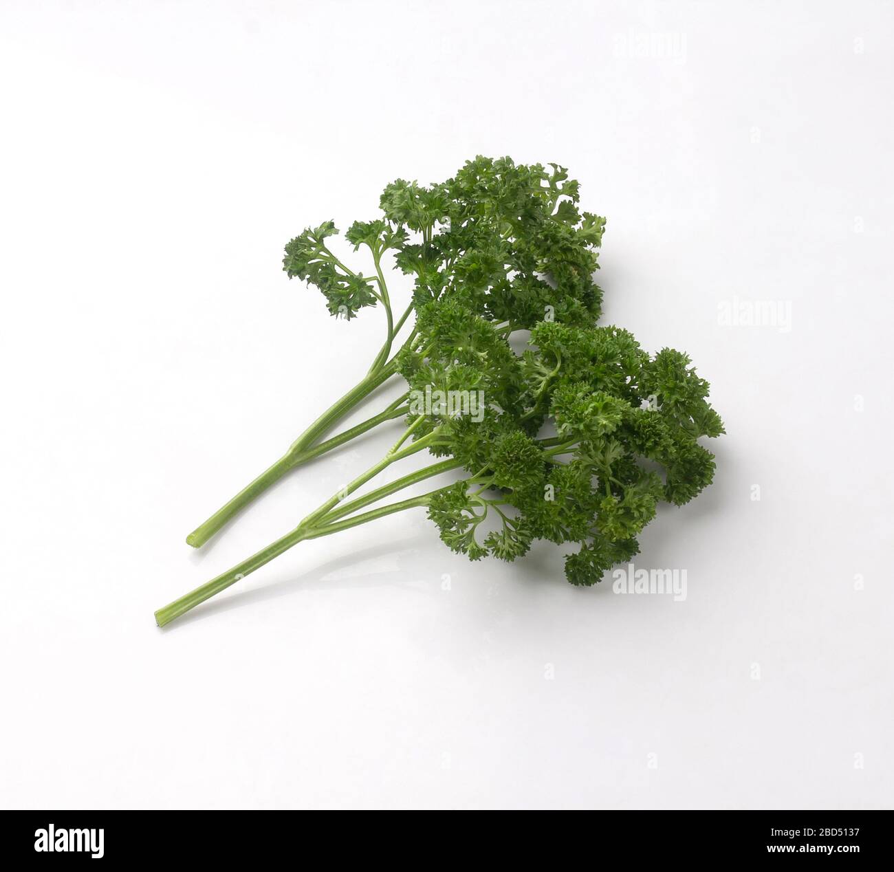 bunch of fresh curly parsley isolated on white background Stock Photo ...