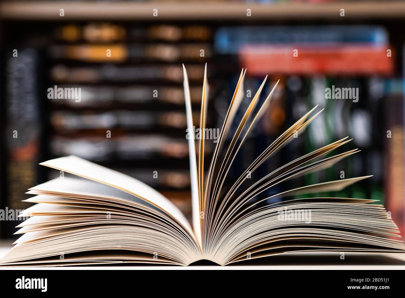 open book close up photo, blurred background Stock Photo - Alamy