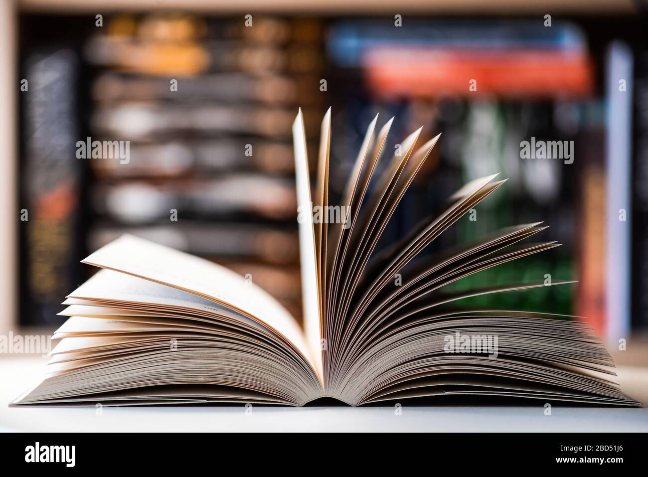 open book close up photo, blurred background Stock Photo - Alamy