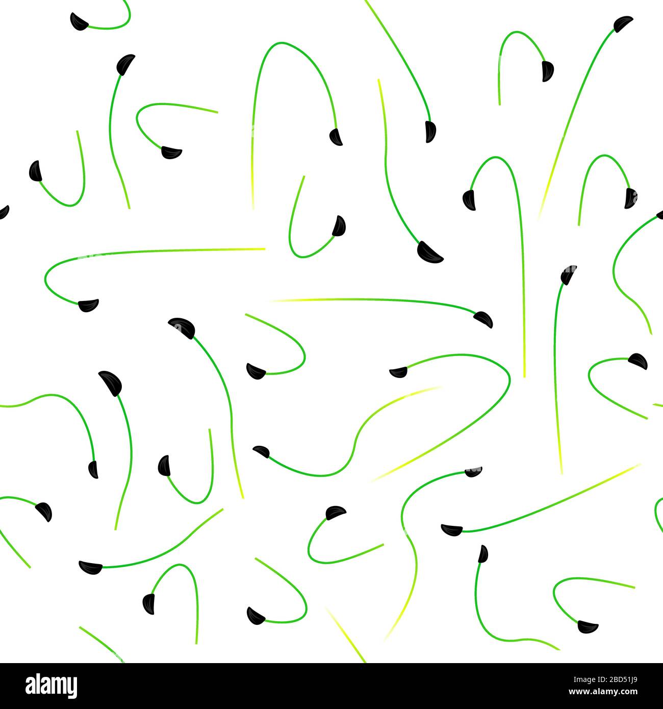 Microgreens Scallions. Sprouting seeds of a plant. Seamless pattern ...