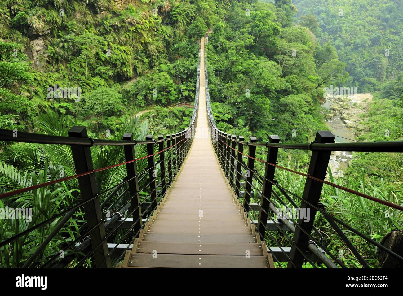 Rope ladder bridge hi-res stock photography and images - Alamy