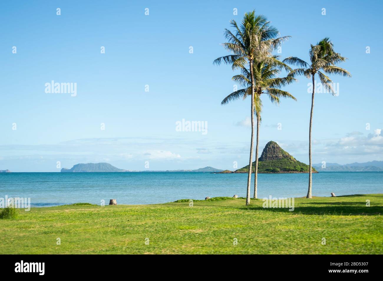 Traditional tropical Hawaiian coastal scene Stock Photo - Alamy