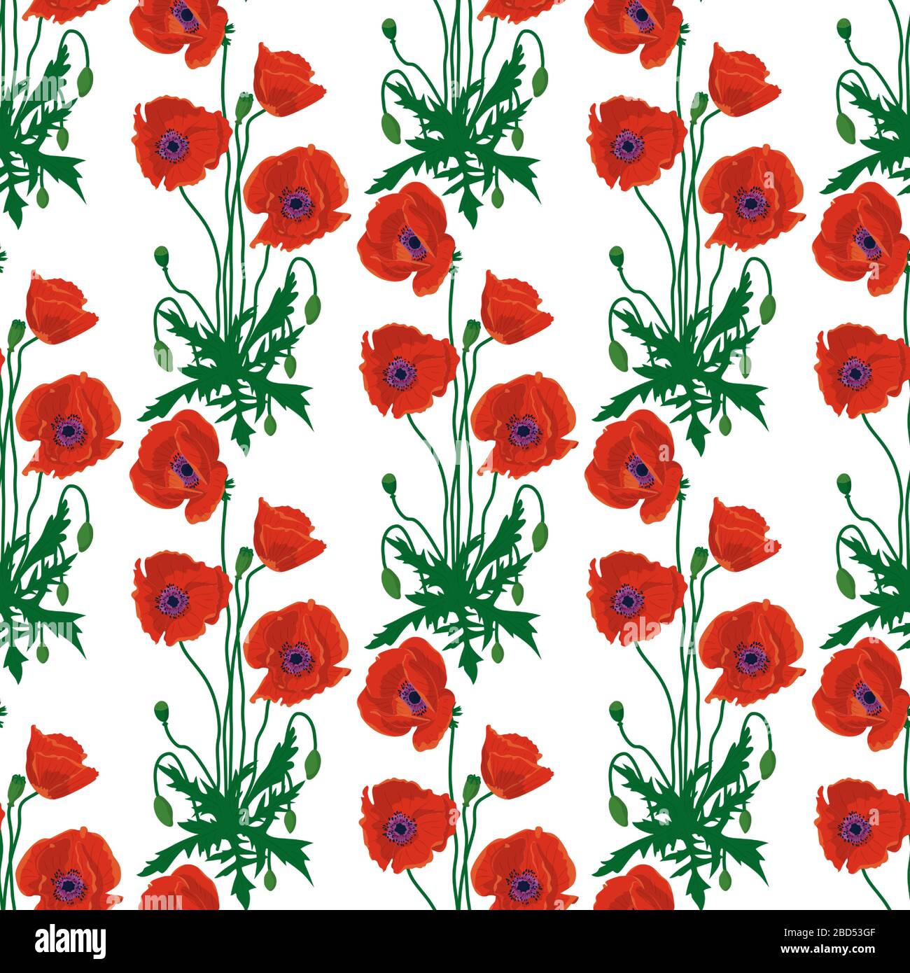 Seamless pattern with hand drawn red poppy flowers on white background ...