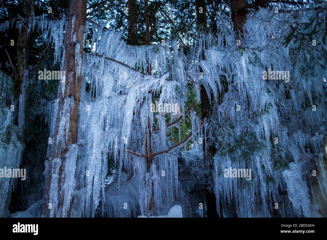 Winter snow ice sleet cold hi-res stock photography and images - Alamy