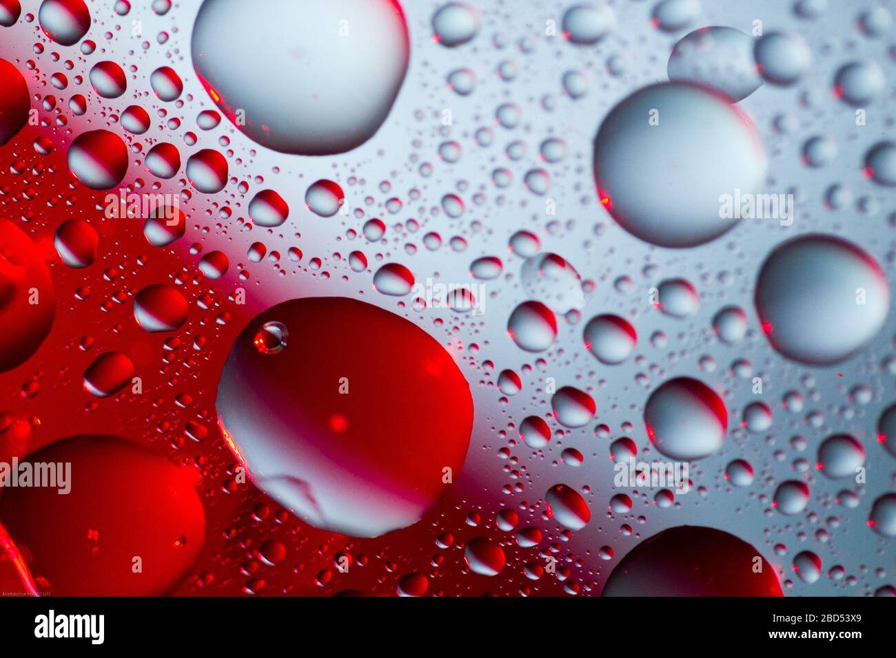 view through drops of water Stock Photo - Alamy