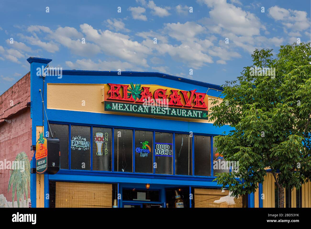 Mexican agave hi-res stock photography and images - Alamy