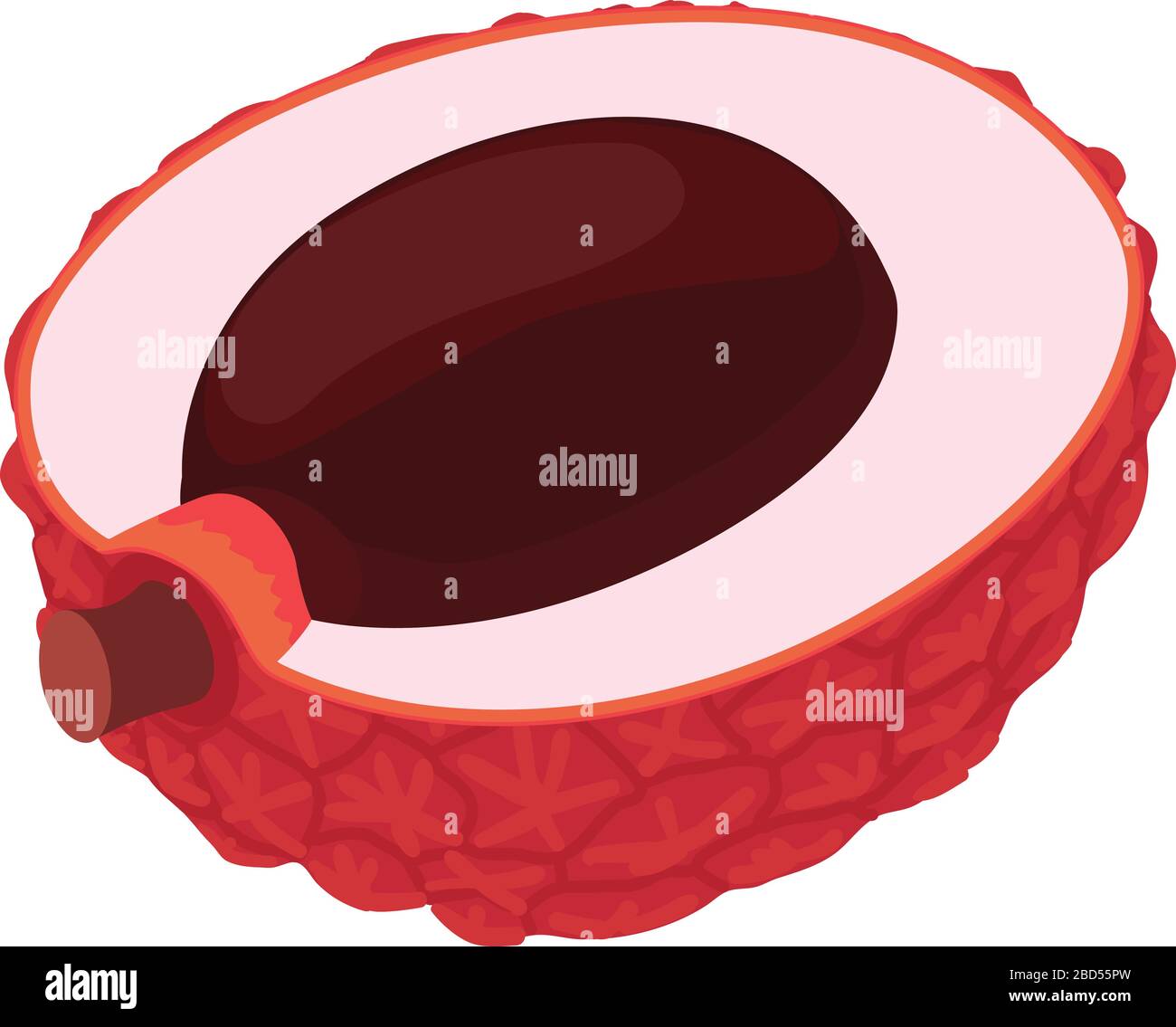 Fresh lychee icon. Isometric of fresh lychee vector icon for web design ...