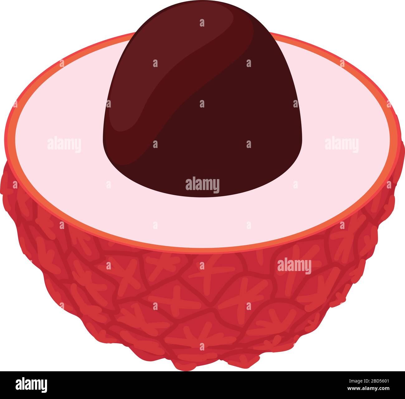 Cutted lychee icon. Isometric of cutted lychee vector icon for web ...