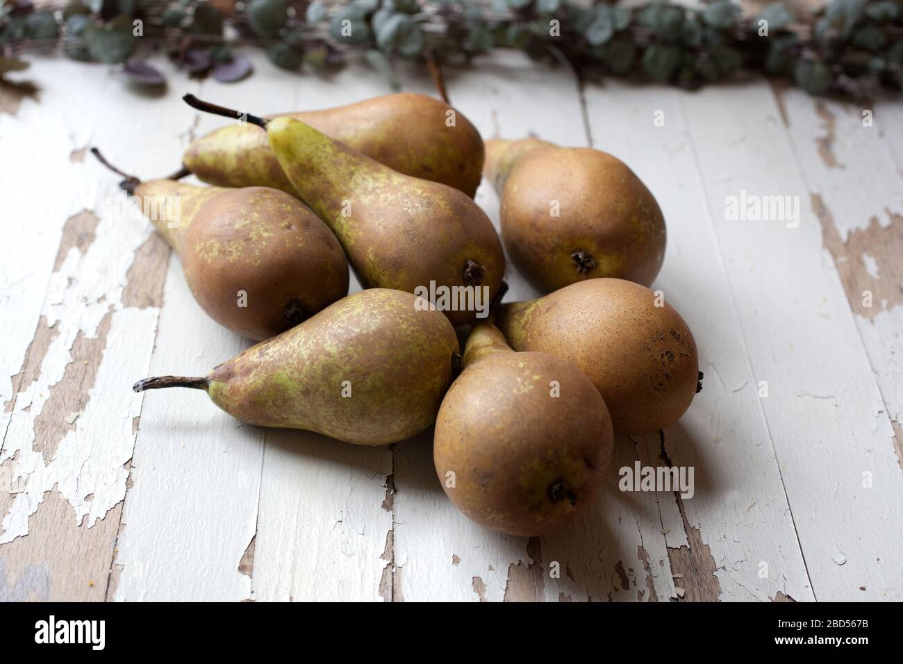 English pears hi-res stock photography and images - Alamy