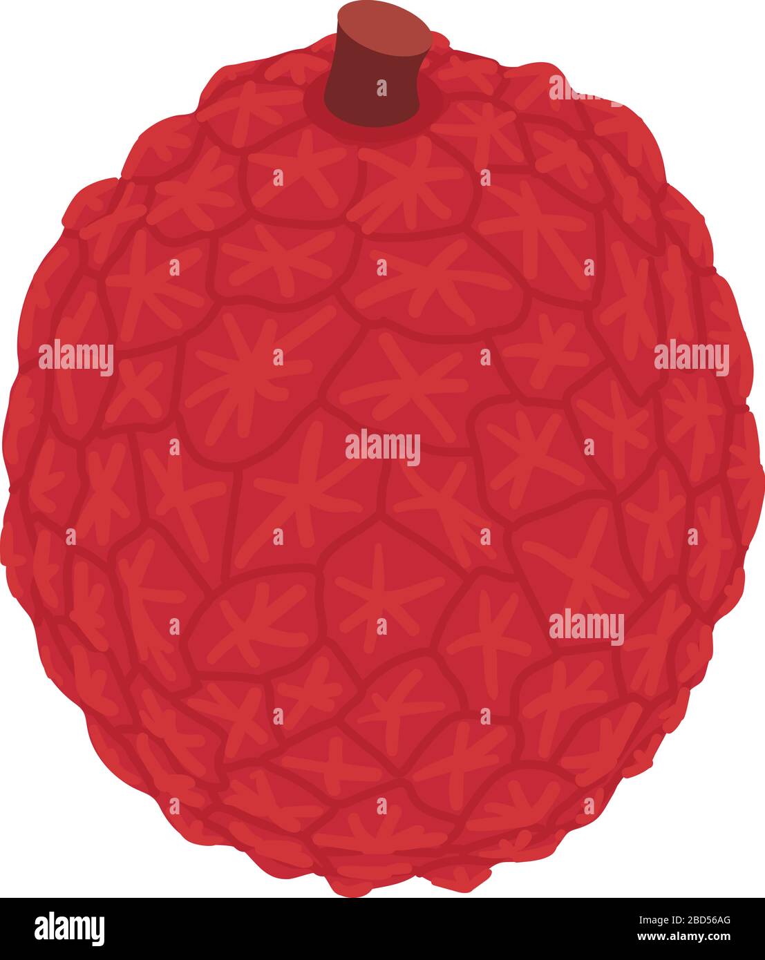 Tropical lychee icon. Isometric of tropical lychee vector icon for web ...