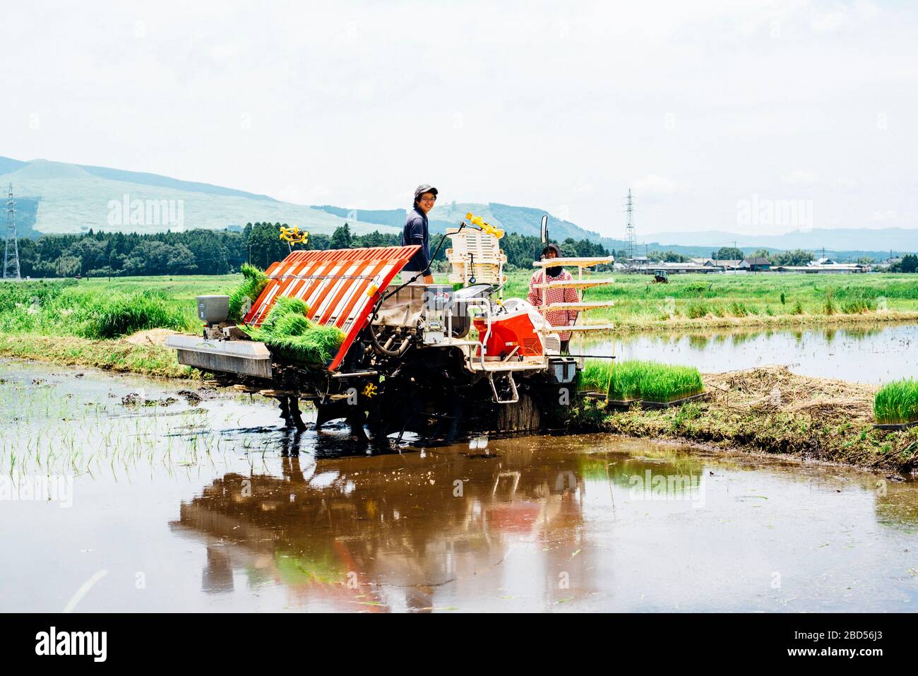 Rice cultivation in Kumamoto, Japan Stock Photo - Alamy