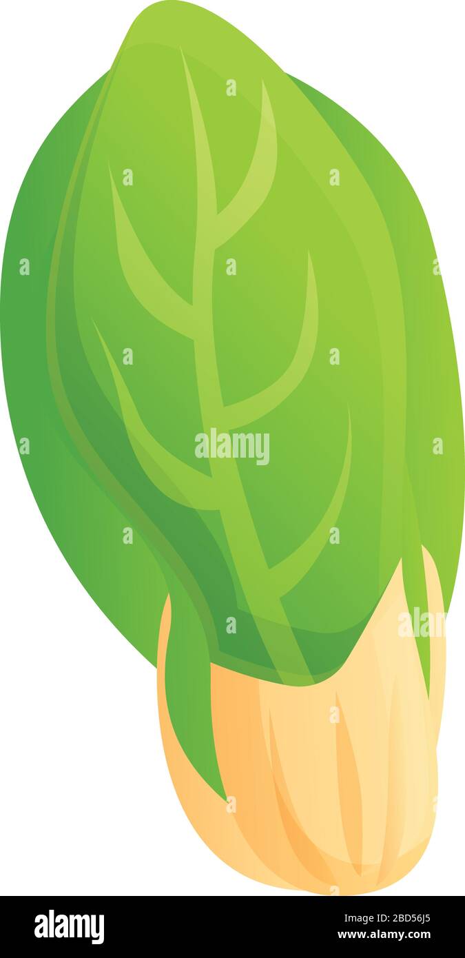 Vegetarian cabbage icon. Cartoon of vegetarian cabbage vector icon for ...