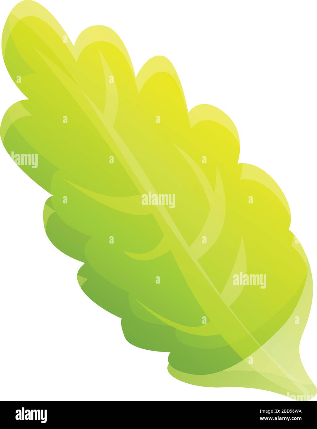 Cabbage long leaf icon. Cartoon of cabbage long leaf vector icon for ...