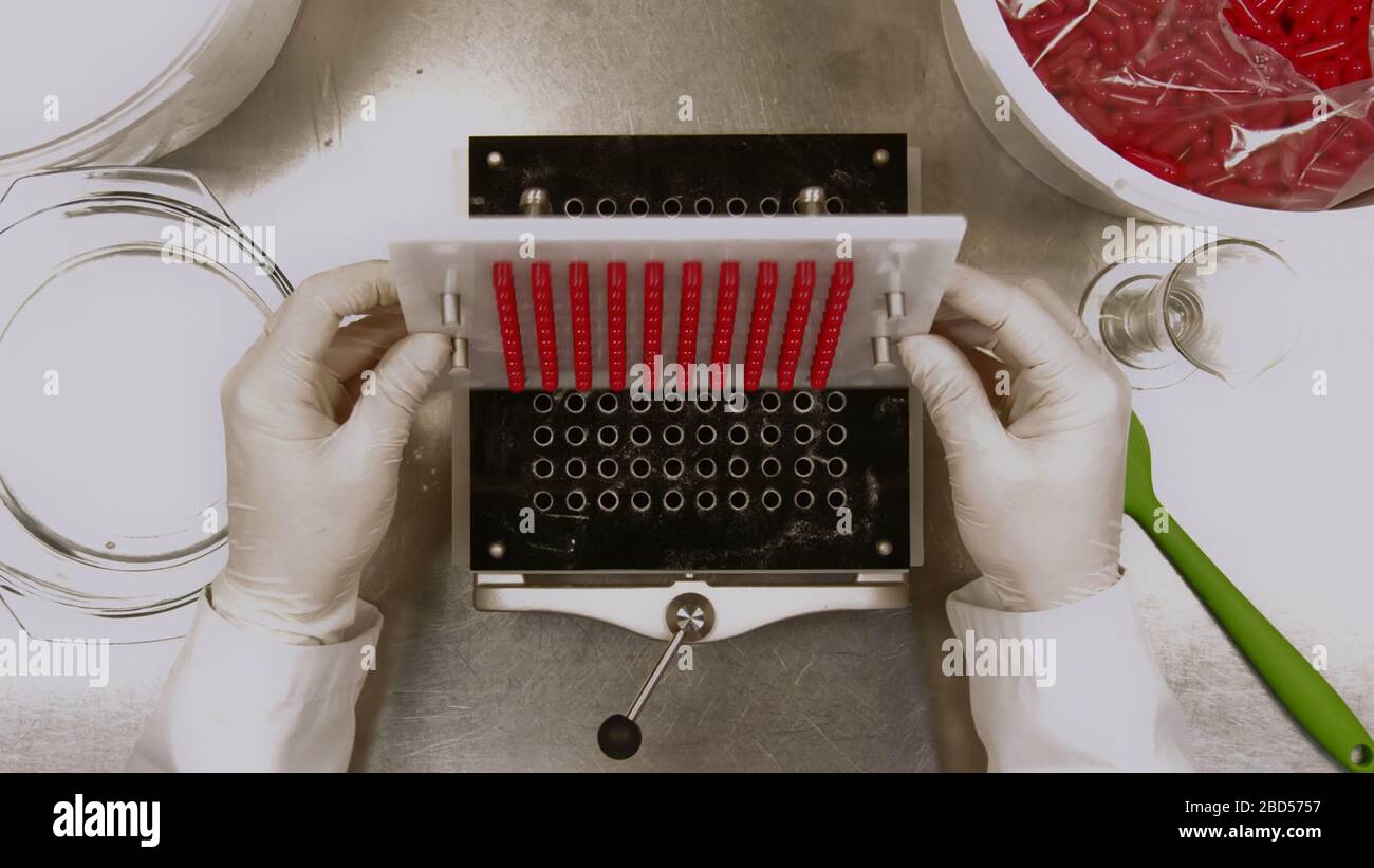 Two hands making capsules in the pharmacy laboratory with a manual ...