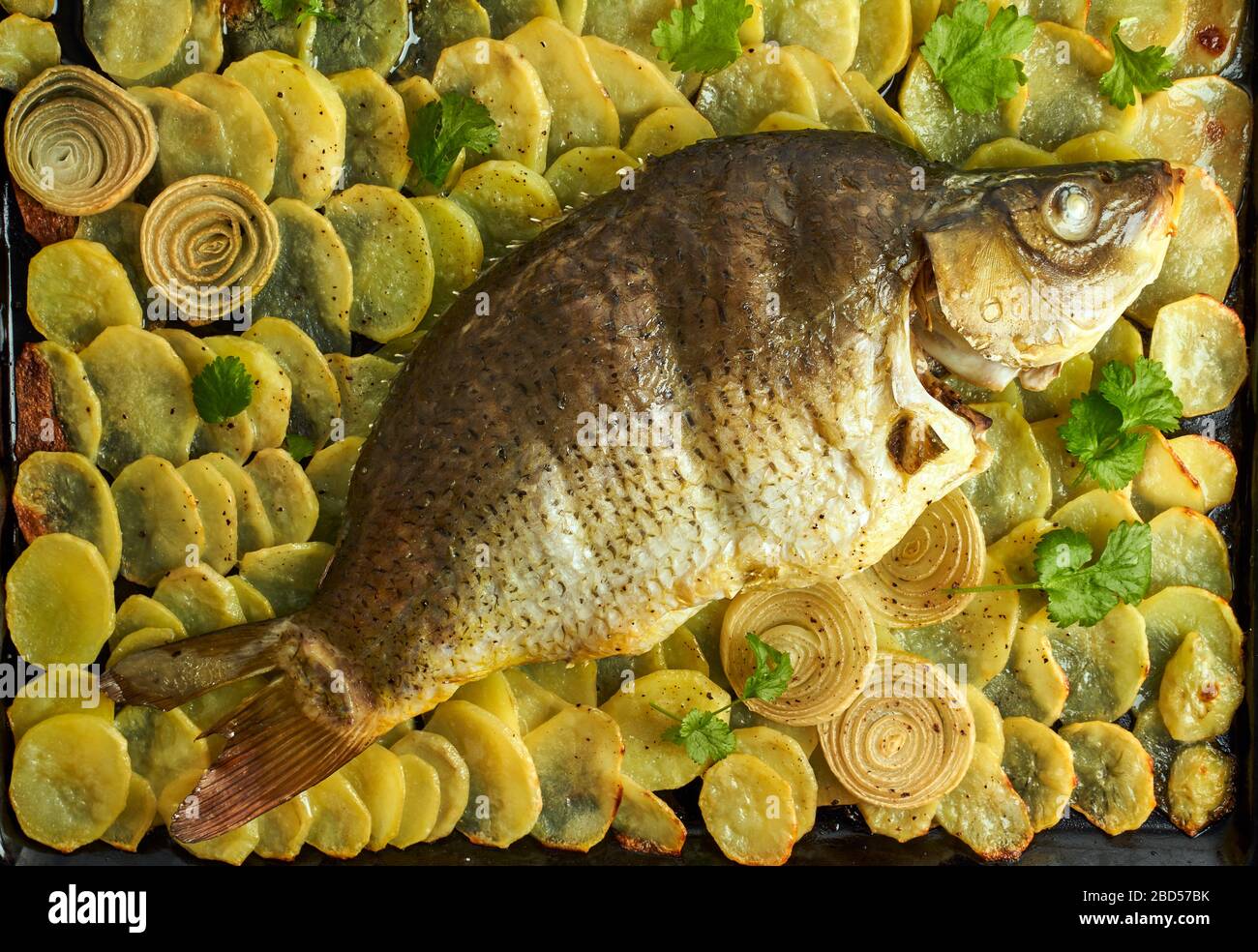 Baked carp, whole fish from the oven with sliced potatoes on a large ...