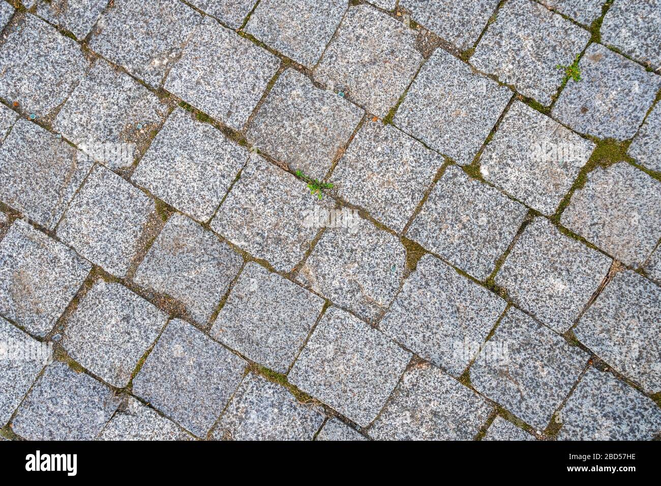 Stone Block Seamless Texture, The road to pedestrians Stock Photo - Alamy