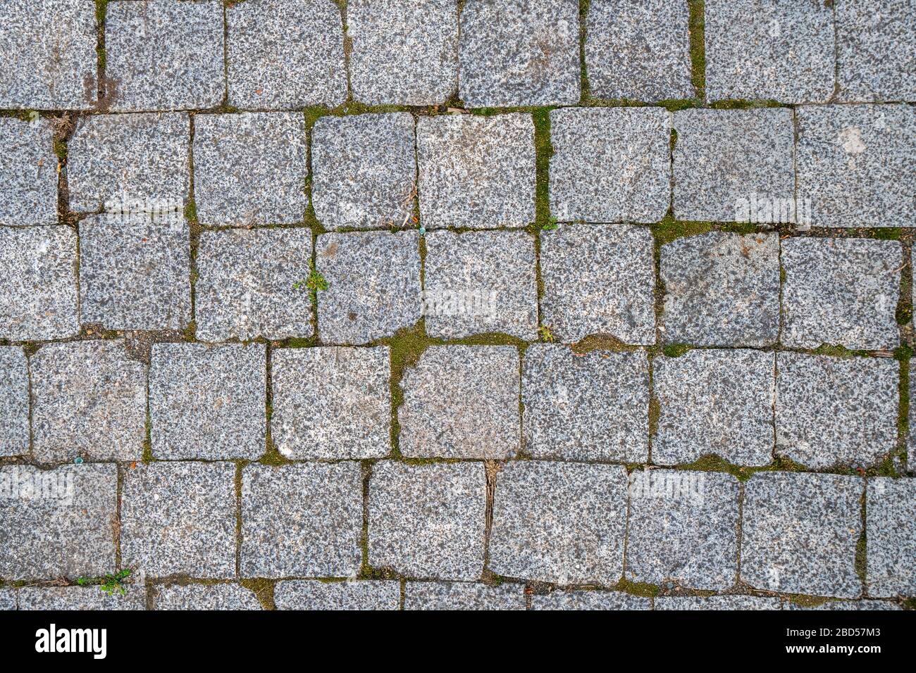 Footpath Texture Seamless