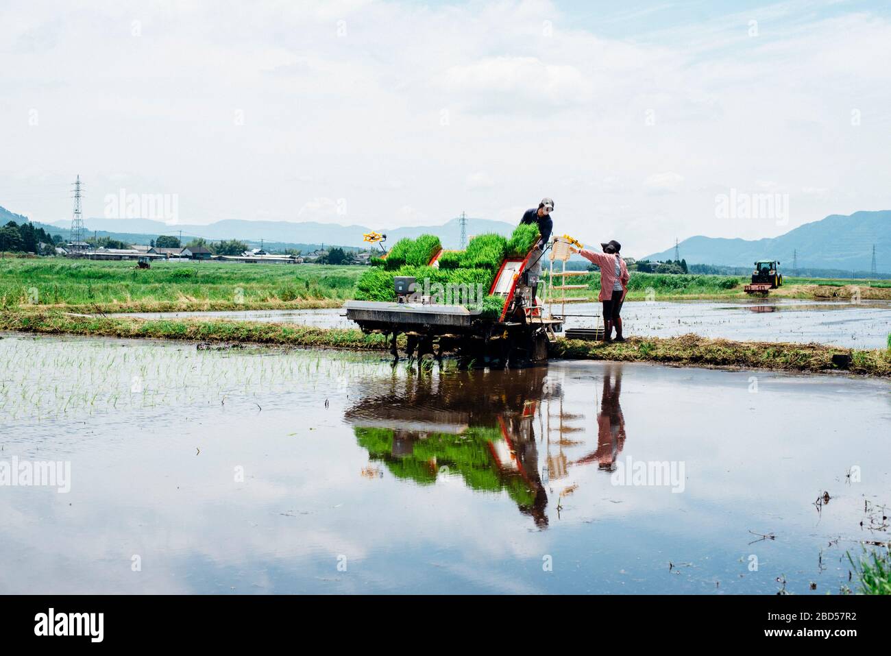 Rice cultivation in Kumamoto, Japan Stock Photo - Alamy