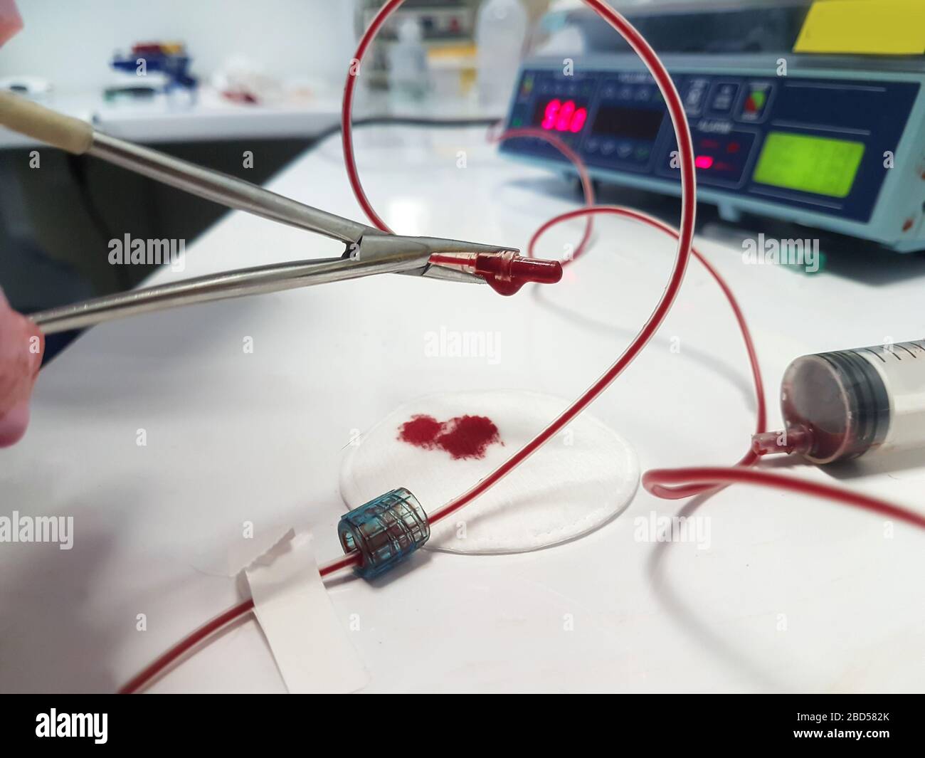 medical clamp in the hands of a veterinary surgeon Stock Photo - Alamy
