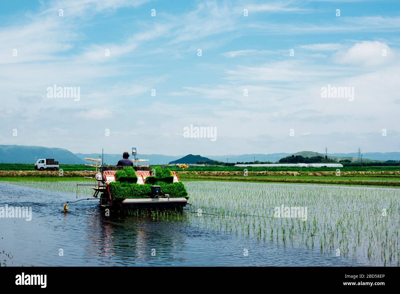Rice cultivation in Kumamoto, Japan Stock Photo - Alamy