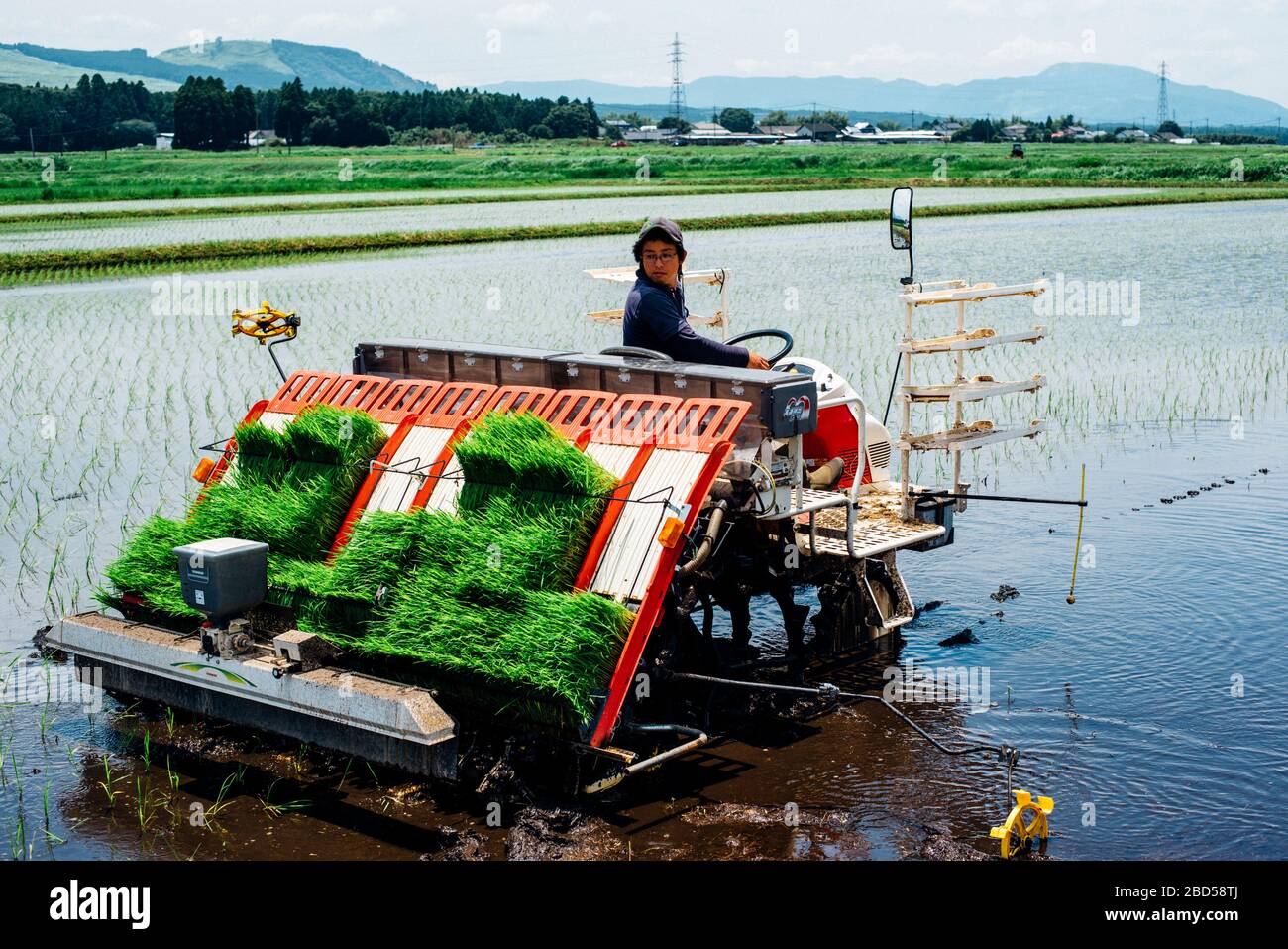 Rice cultivation in Kumamoto, Japan Stock Photo - Alamy