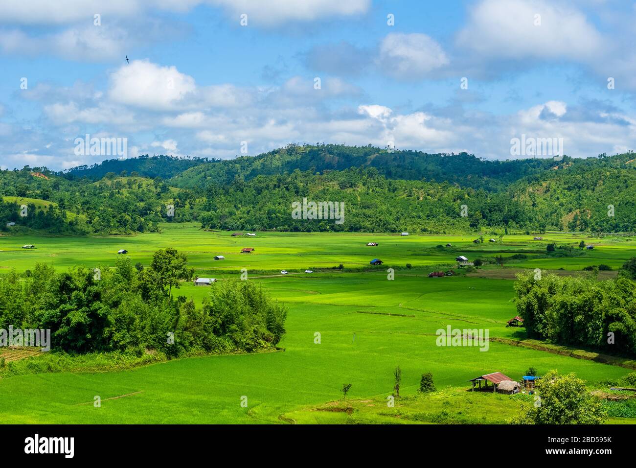 paddy fields in khasi and jaintia Hills of Meghalaya india Stock Photo ...